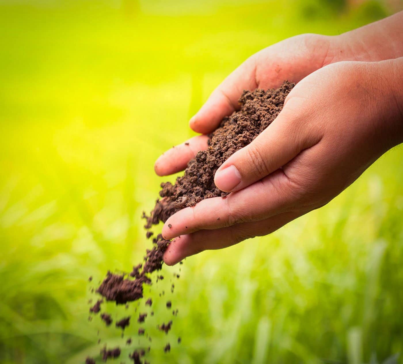 History - JJ's Waste & Recycling